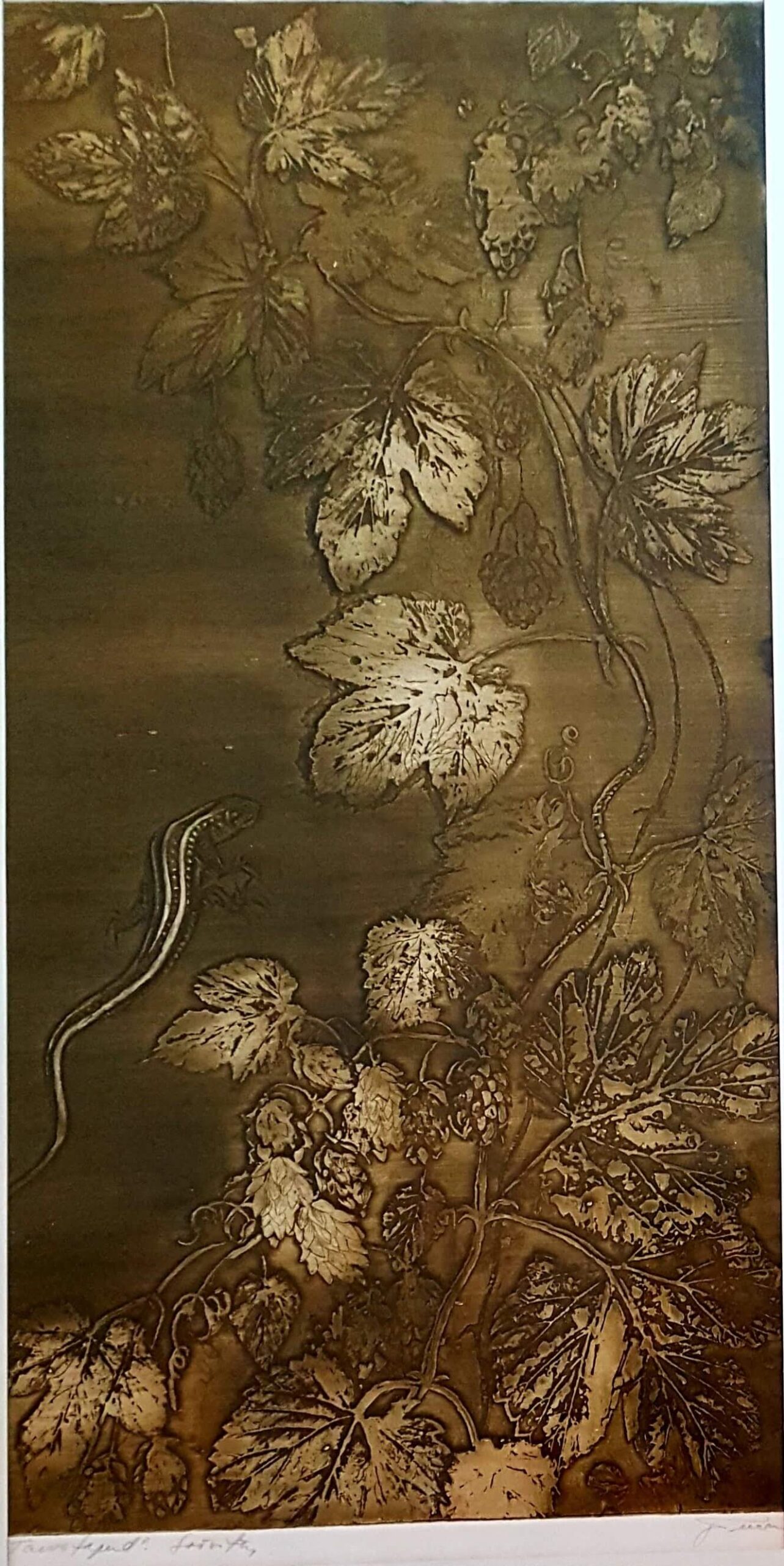 Gita Teearu - Eesti graafika kogu